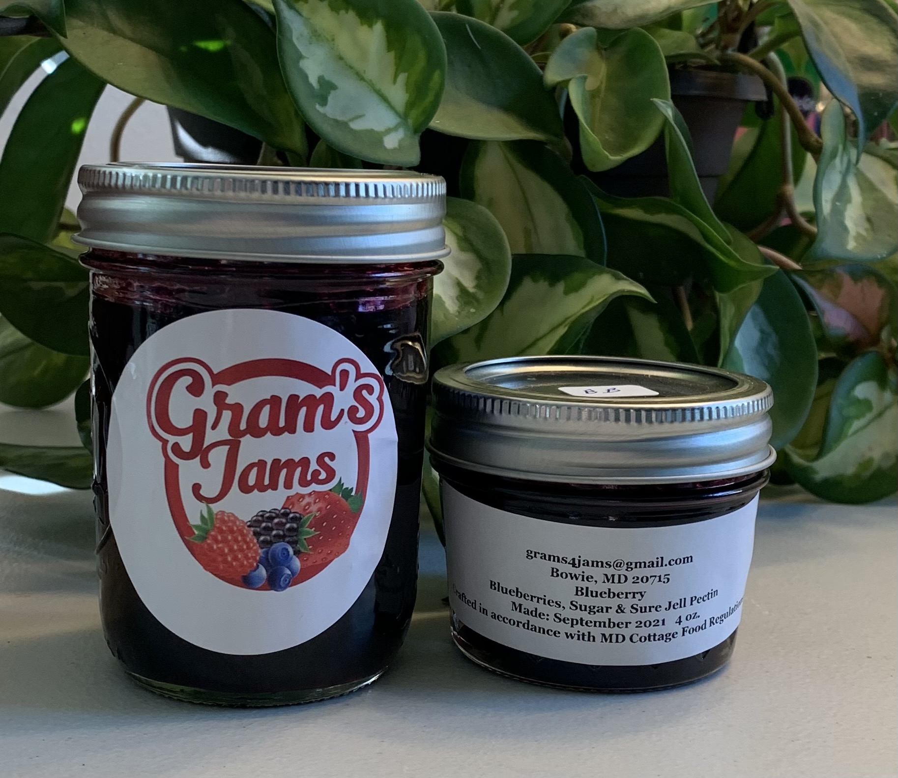Blueberry Jam – Grams Jams